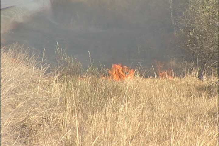 Crews battle grass fire | Globalnews.ca