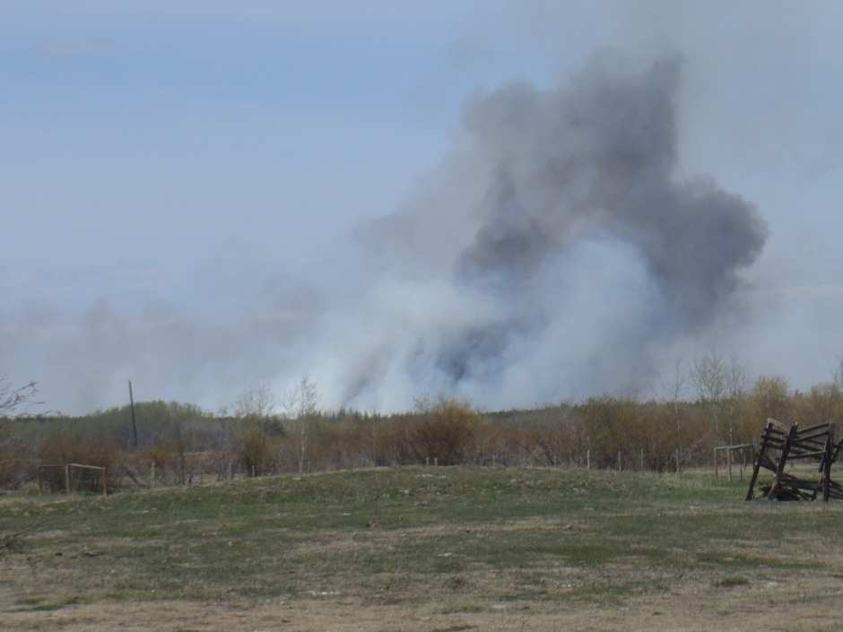 State of emergency declared in Thorhild County | Globalnews.ca