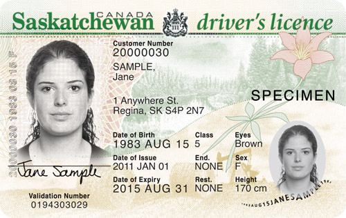 New Sask. one-part driver’s licence unveiled | Globalnews.ca