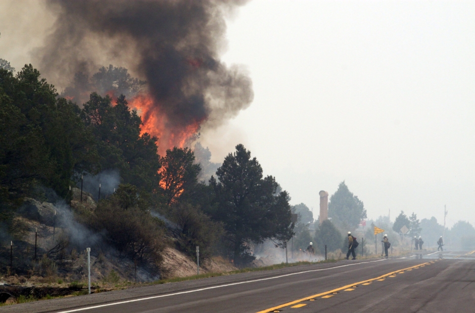 Arizona wildfire largest in state history | Globalnews.ca