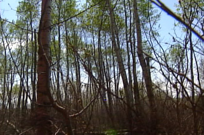 Yellow Quill First Nation moving forward with economic investment ...