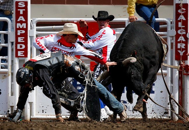 Bullfighters take the bull by the horns to keep cowboys safe at ...