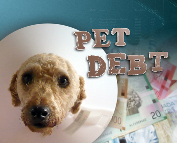 Pet Debt | Globalnews.ca