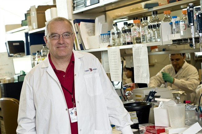 Viral therapy delivered intravenously goes to cancer tumour sites ...