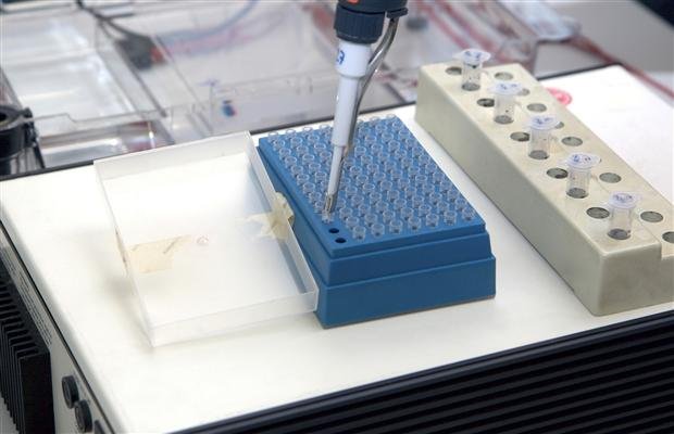 ‘Serial killer’ T-cells could change leukemia treatment, researchers ...