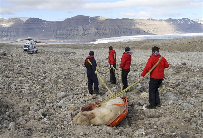 British teen slain by polar bear during high-end adventure holiday in ...