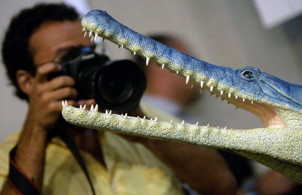 Study: Earth has nearly 9 million species, many undiscovered ...