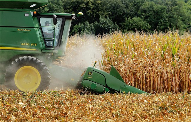 US gov’t estimates smaller corn surplus, could drive food prices higher ...