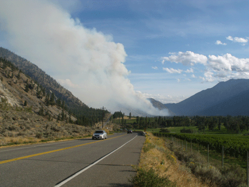Wildfire at the B.C.-Washington State border | Globalnews.ca