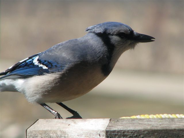 PHOTO GALLERY: Your Manitoba | Globalnews.ca