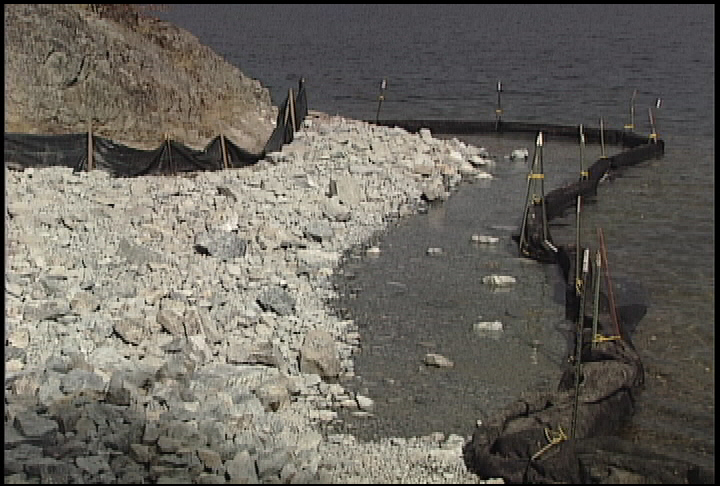 Shoreline project in Kelowna completed | Globalnews.ca