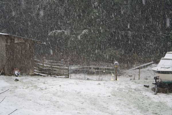 Wild weather | Globalnews.ca