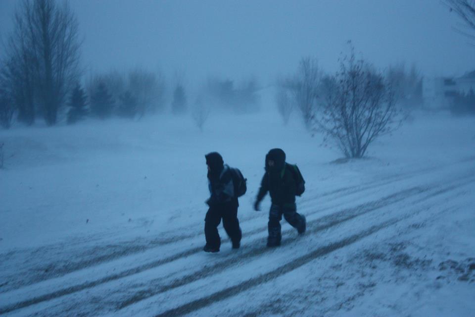 Edmonton snow storm | Globalnews.ca