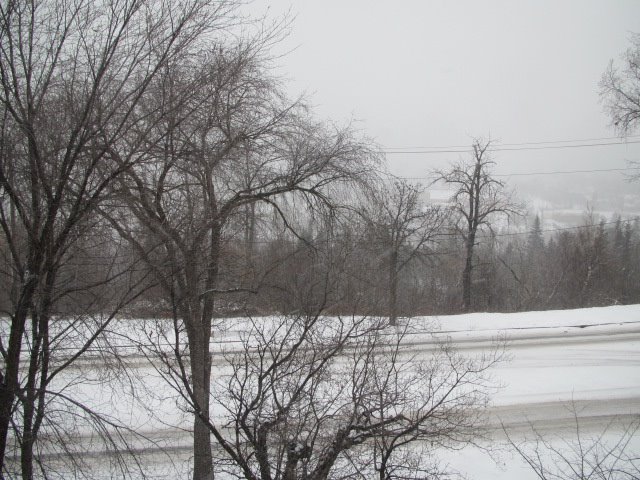 Edmonton snow storm | Globalnews.ca