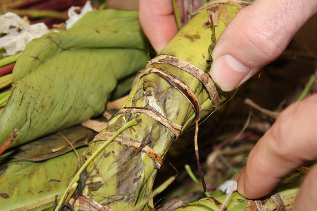 Gallery – Khat - National | Globalnews.ca