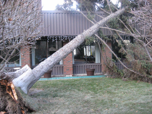 Calgary breaks temperature record - Calgary | Globalnews.ca