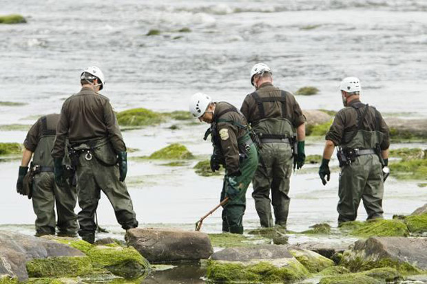 GALLERY The Julie Surprenant case in pictures | Globalnews.ca