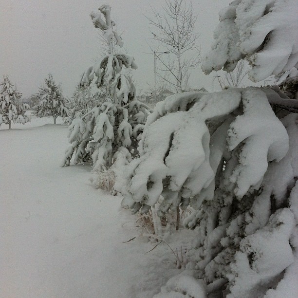 Spring snow in Alberta | Globalnews.ca