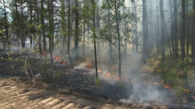 Gallery: Wildfires in Manitoba | Globalnews.ca
