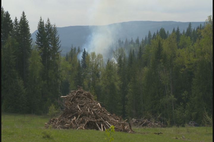 Fire near Salmon Arm community contained | Globalnews.ca