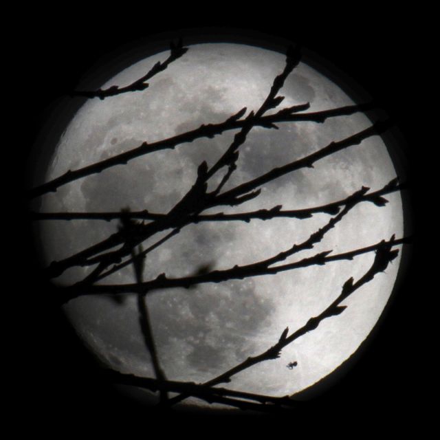 Gallery: Supermoon | Globalnews.ca