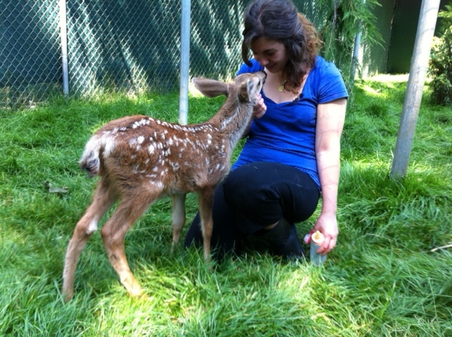 Critter Care international program | Globalnews.ca