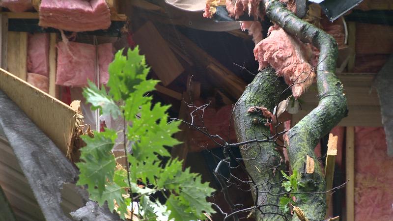 Photos: Damage during overnight storm | Globalnews.ca