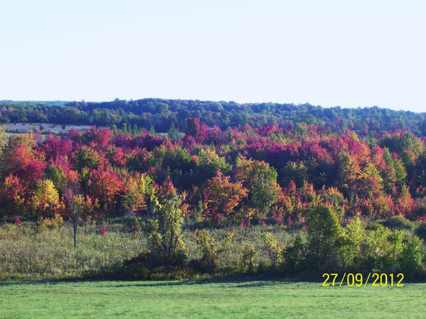 Gallery: Fall’s colours across Canada | Globalnews.ca
