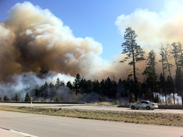 Gallery: Forest fire near Peachland | Globalnews.ca