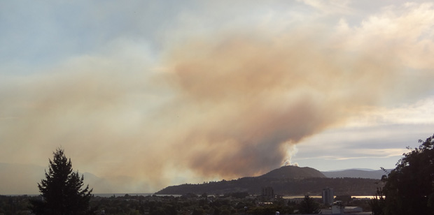 Gallery: Forest fire near Peachland | Globalnews.ca