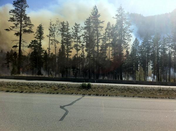Gallery: Forest fire near Peachland | Globalnews.ca