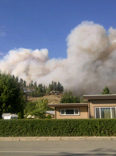 Gallery: Forest fire near Peachland | Globalnews.ca