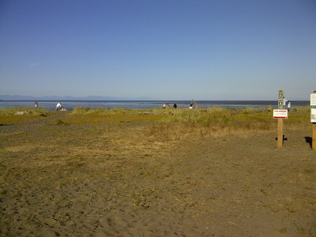Volunteers spend a morning at the beach for Great Canadian Shoreline ...