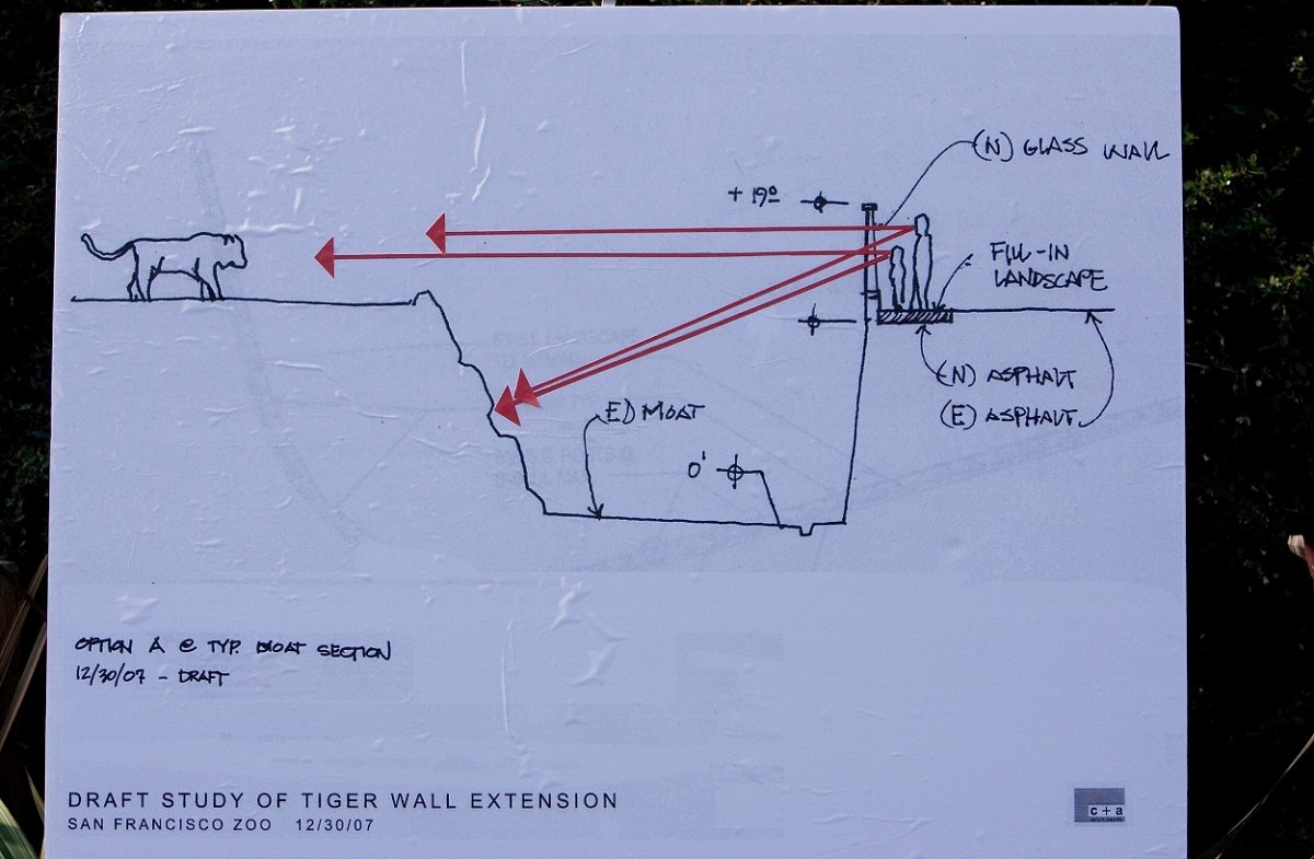 Gallery: Famous tiger attacks | Globalnews.ca