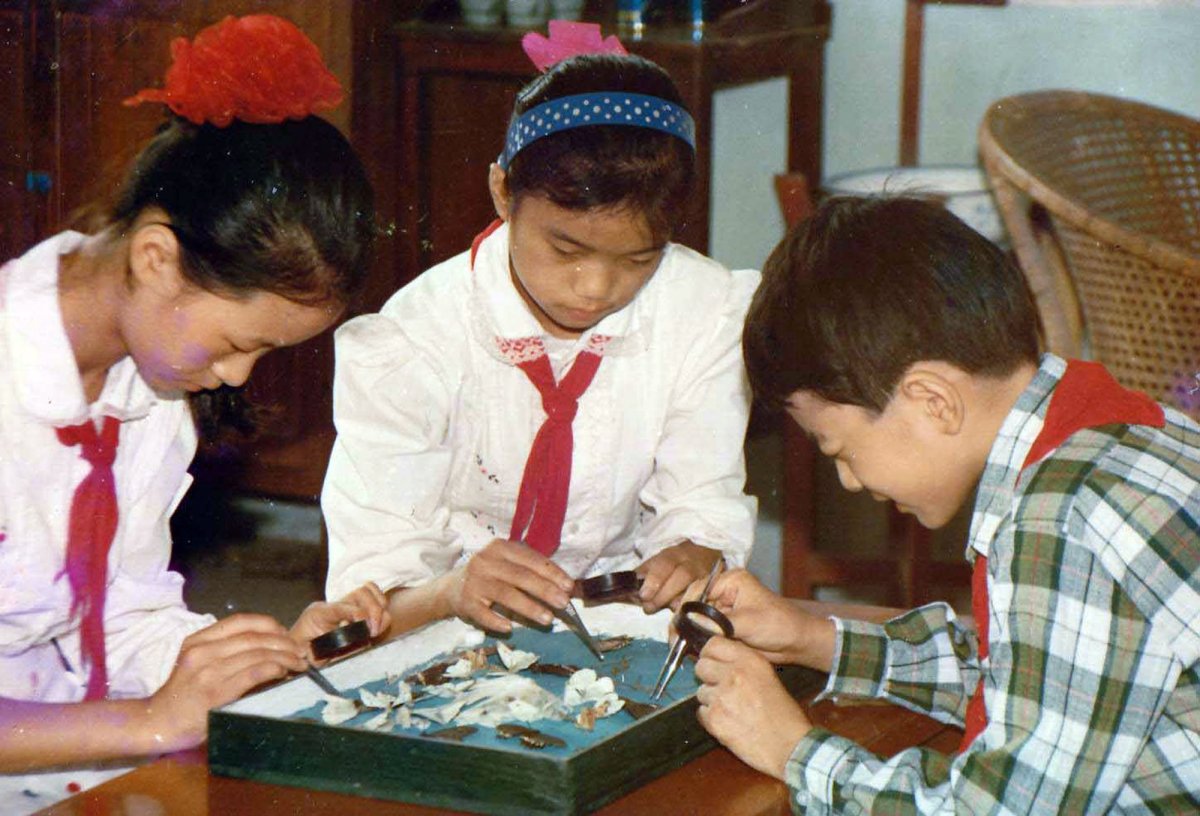 Gallery: Jun Lin’s life in photos - Montreal | Globalnews.ca