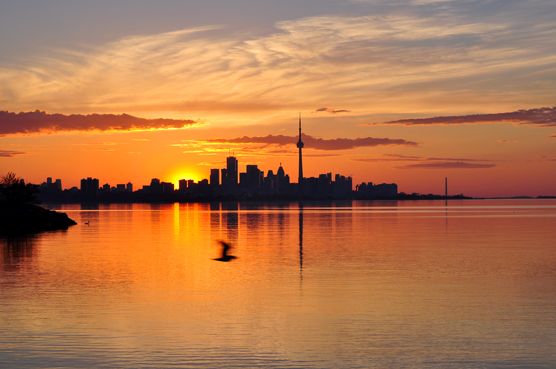 Toronto Morning: What you need to know today - Toronto | Globalnews.ca