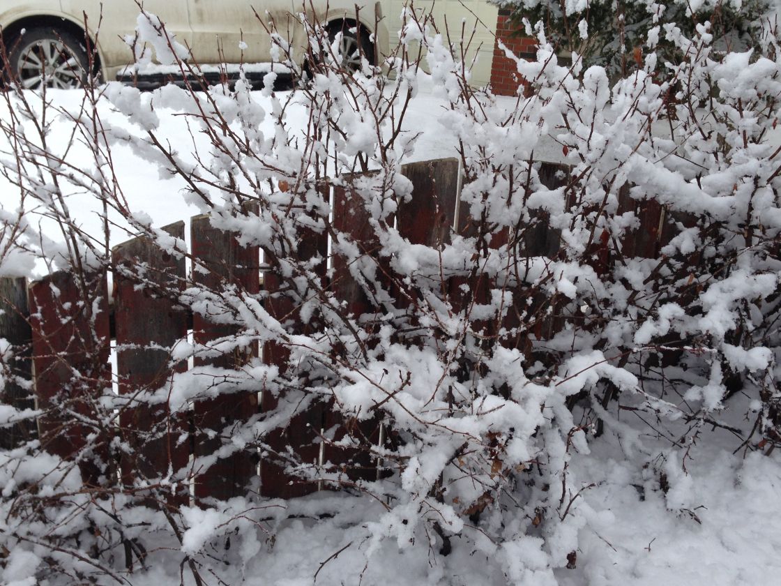 Spring snow blankets capital region, snowfall warning ends for Edmonton ...