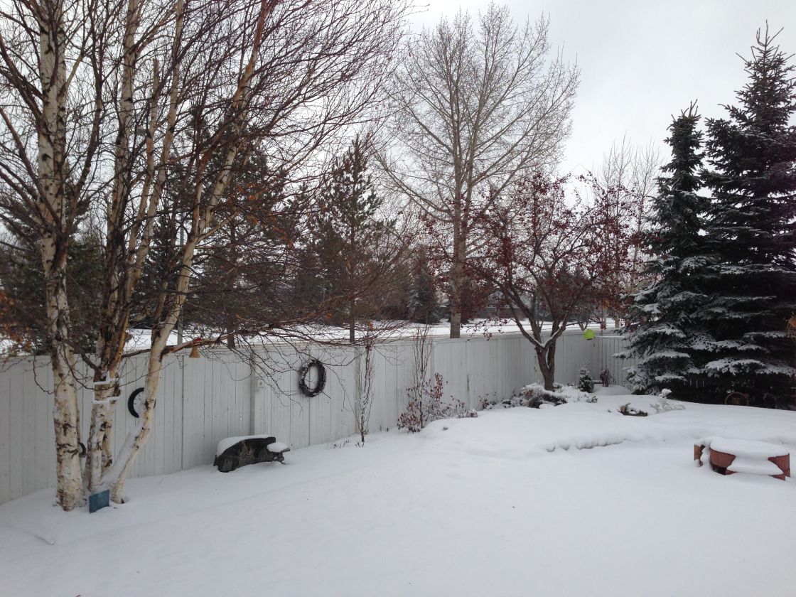 Spring snow blankets capital region, snowfall warning ends for Edmonton ...