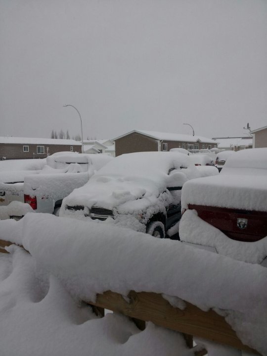 Spring snow blankets capital region, snowfall warning ends for Edmonton ...