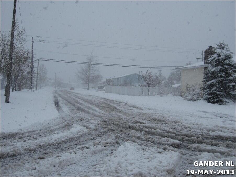 Gander, N.L. digs out from record-breaking snowfall | Globalnews.ca
