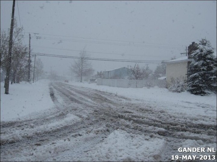 Gander, N.L. digs out from record-breaking snowfall | Globalnews.ca