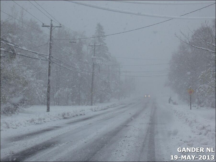 Gander, N.L. digs out from record-breaking snowfall | Globalnews.ca