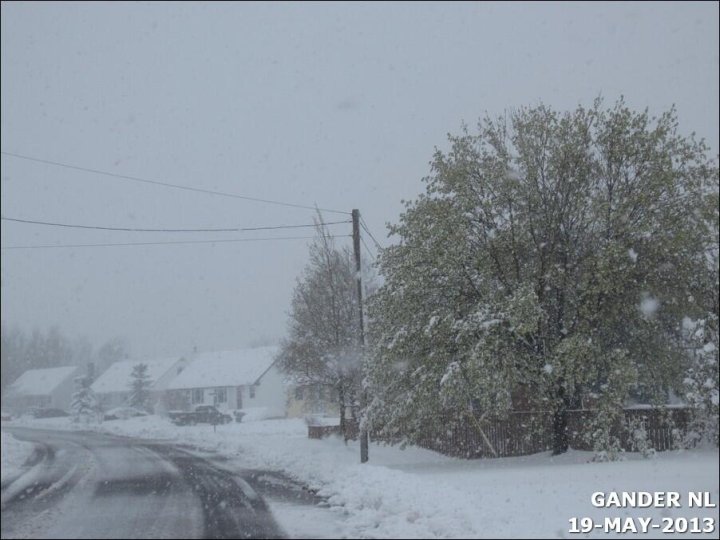 Gander, N.L. digs out from record-breaking snowfall | Globalnews.ca