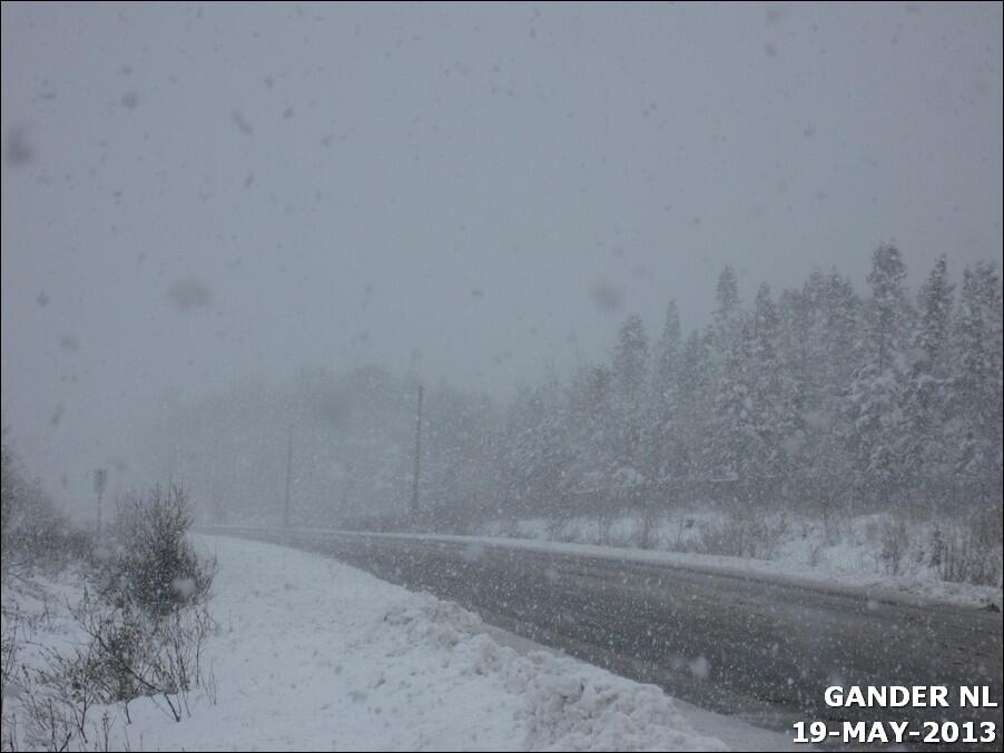 Gander, N.L. digs out from record-breaking snowfall | Globalnews.ca