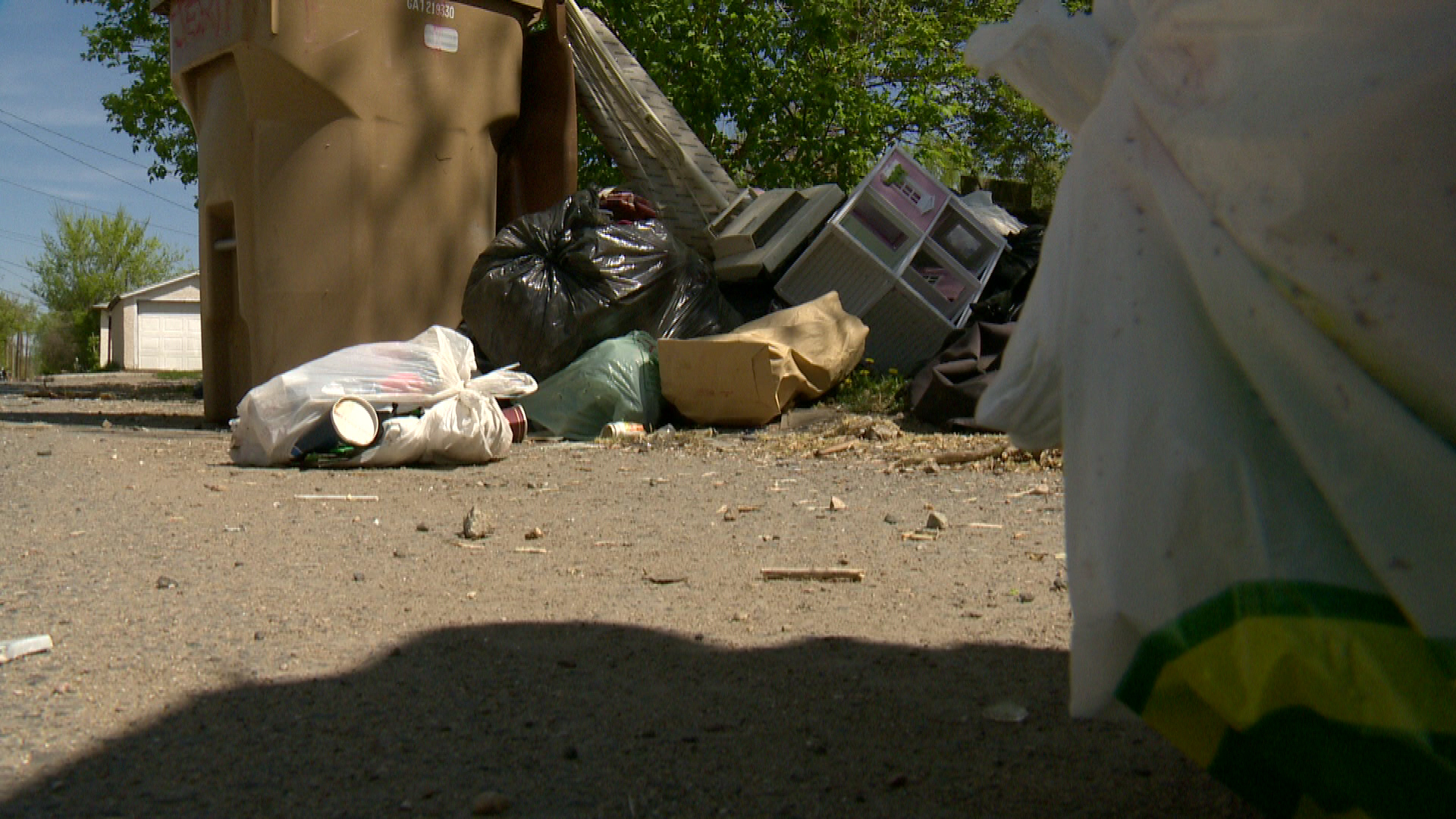 Garbage piling up in one Regina neighbourhood | Globalnews.ca