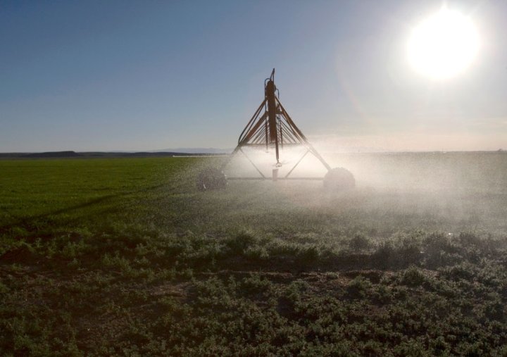 Federal government endorses Lake Diefenbaker irrigation project, calls ...