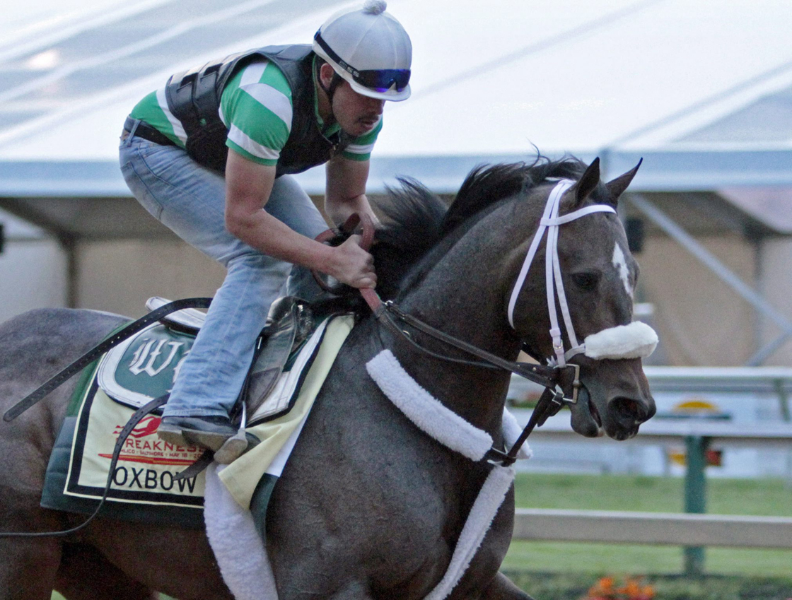Oxbow runs to upset win in Preakness, ending Orb’s Triple Crown try ...