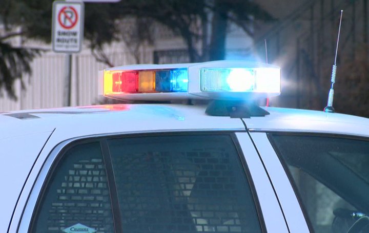 New Brunswick RCMP investigating fatal head-on crash - New Brunswick ...