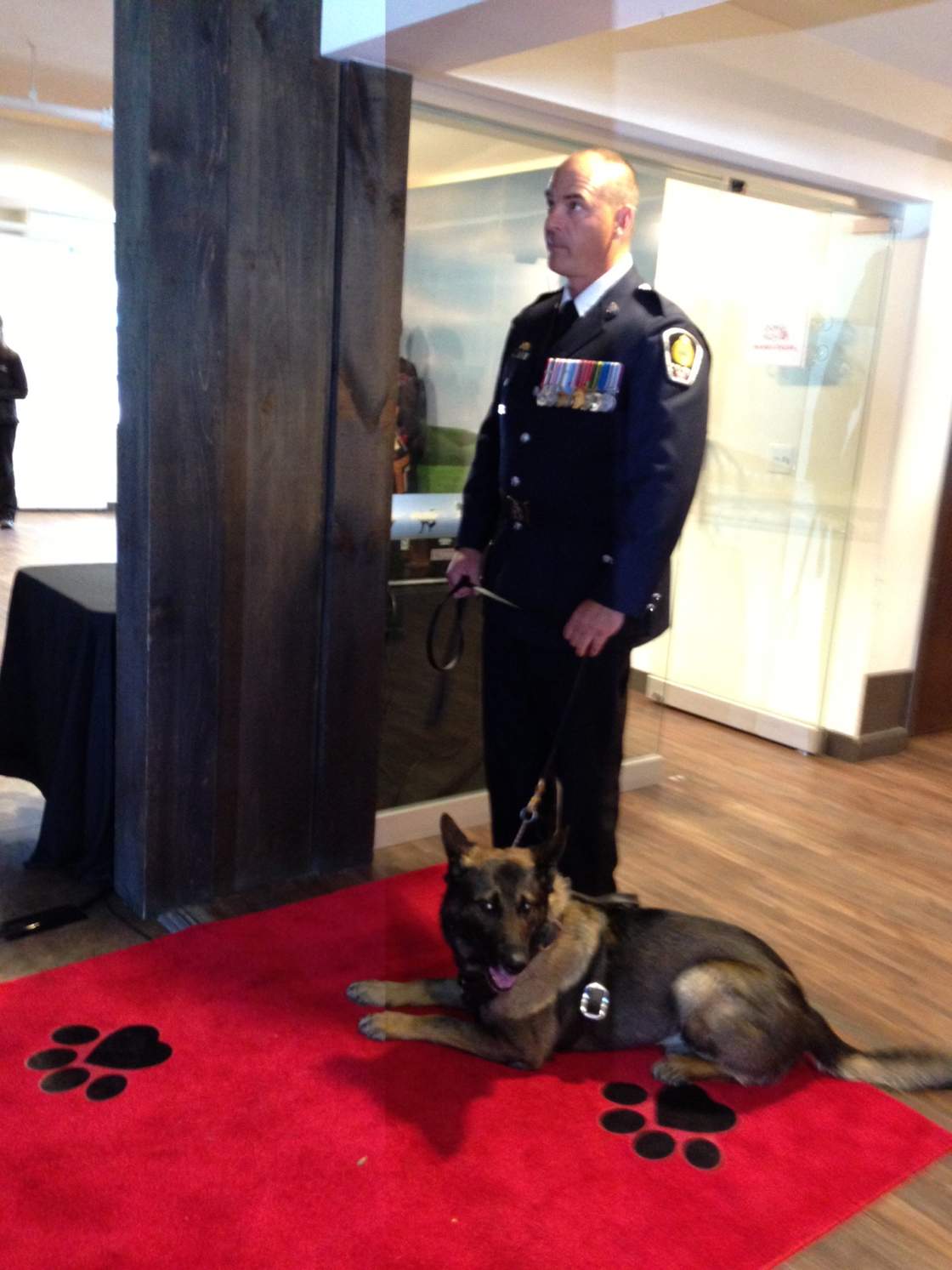 2013 Animal Hall of Fame Inductees | Globalnews.ca