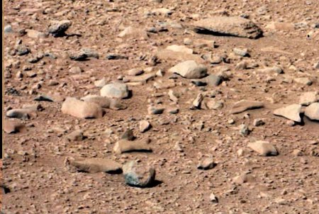 Rodents, Bigfoot and bunnies: the Mars you don’t know - National ...